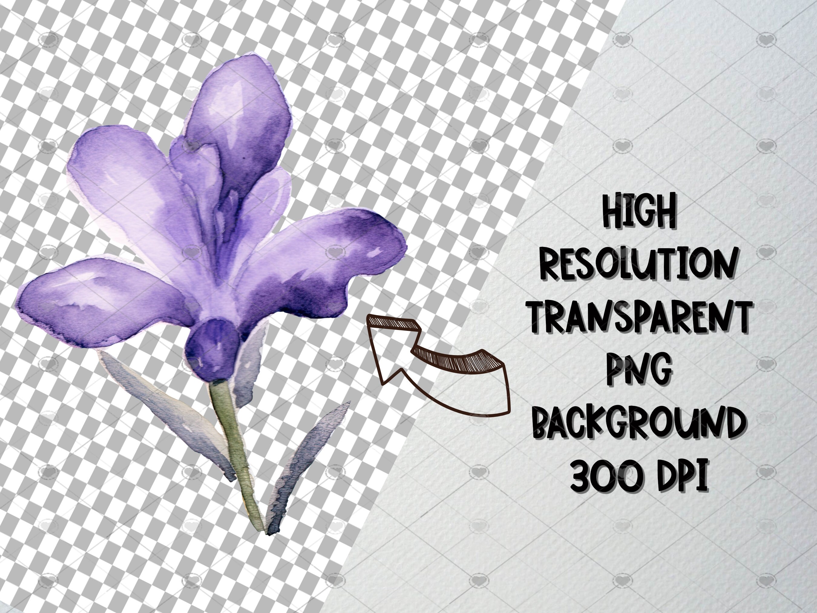 Watercolor Lavender Clipart Set of 49 PNG, Lavender Illustration ...