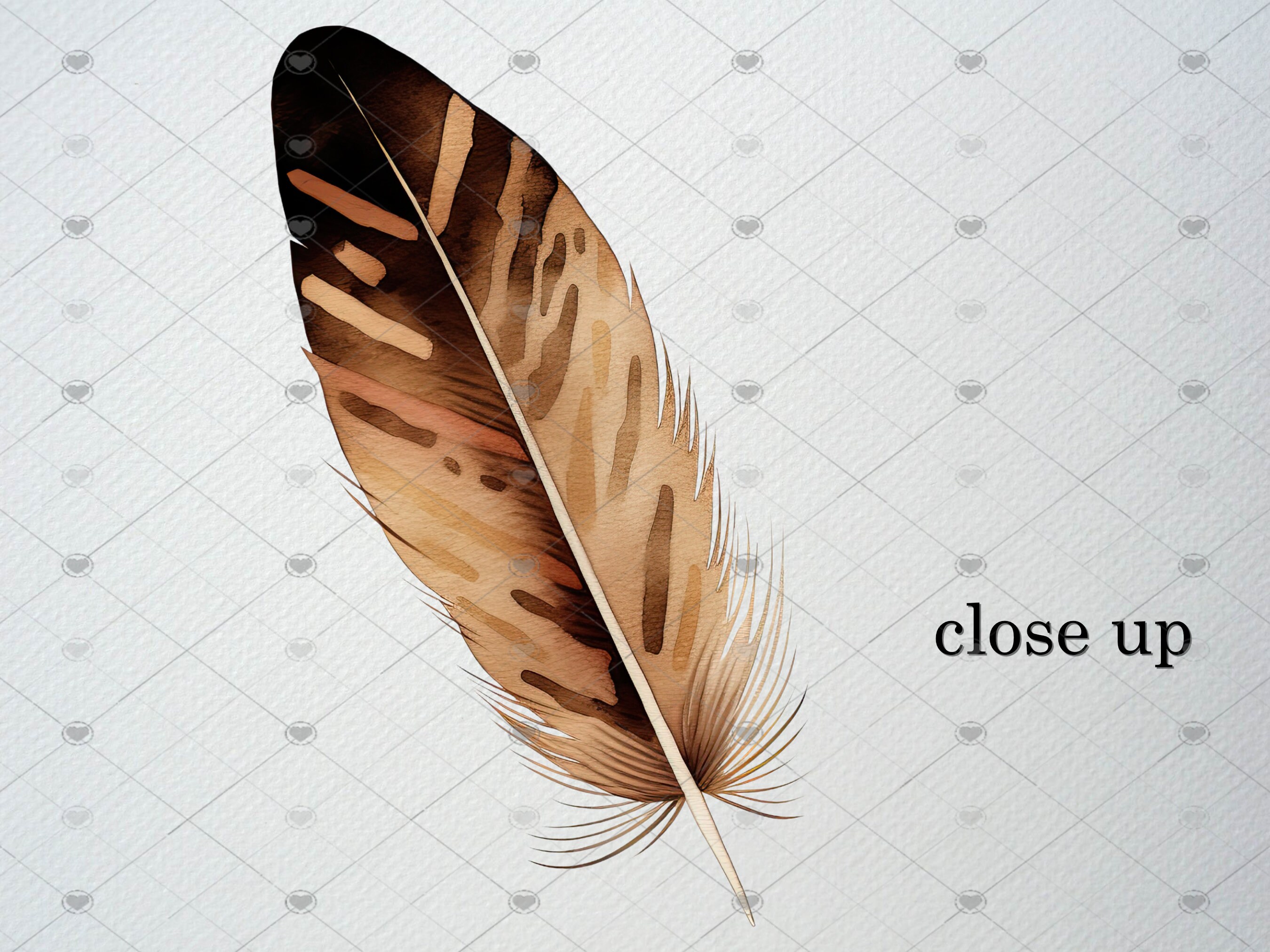 Watercolor Feather Clipart Set of 39 PNG Files, Bird Feather Clipart ...