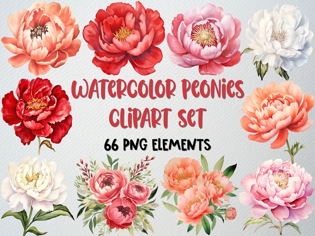 Watercolor Peonies Clipart Set of 66 PNG Files, Peony Clipart, Floral ...