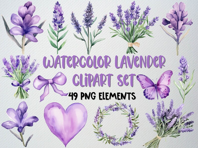 Watercolor Lavender Clipart Set of 49 PNG, Lavender Illustration ...