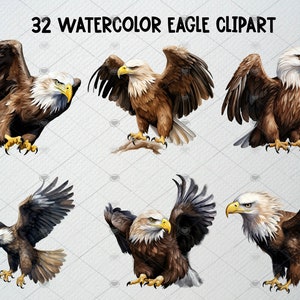 Watercolor Eagle Clipart Set: 32 PNG Bird Illustrations (commercial ...