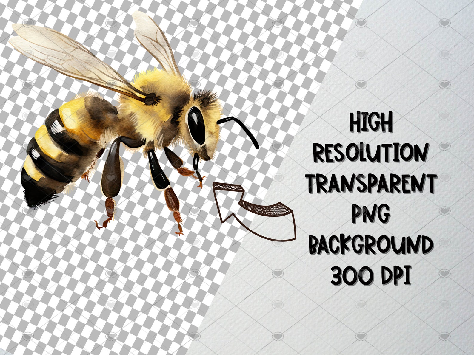 Watercolor Bee Clipart Set of 44 PNG Files, Insect Clipart, Honey Bee ...