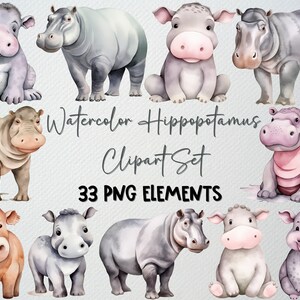 Watercolor Hippo Clipart Set of 33 PNG, Hippopotamus Clipart, Baby ...
