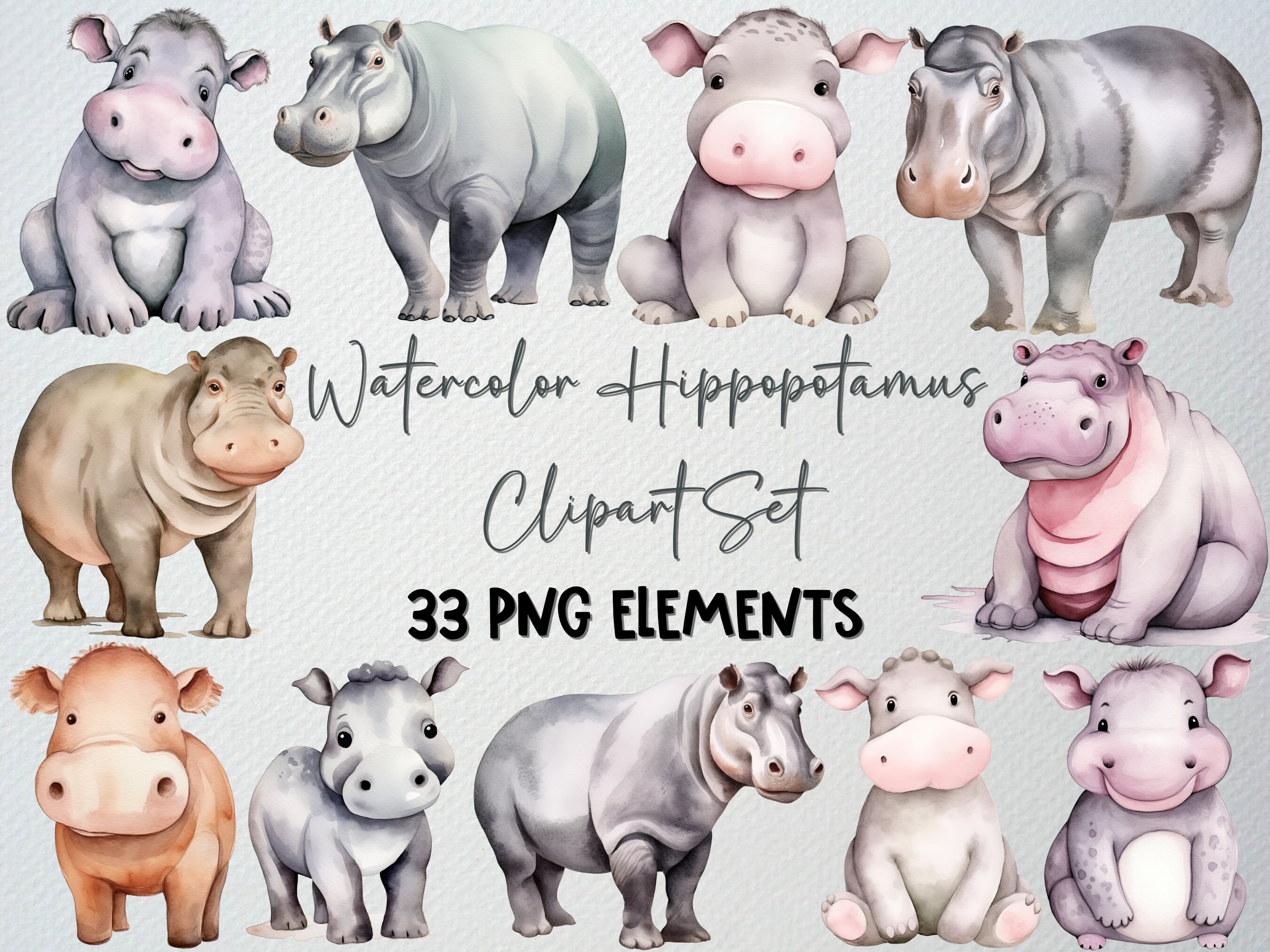 Watercolor Hippo Clipart Set of 33 PNG, Hippopotamus Clipart, Baby ...
