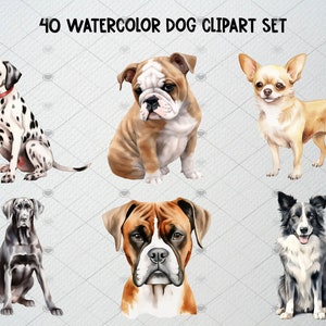 Watercolor Dog Clipart Set of 40 PNG Files, Dog Breed Clipart, Pet ...