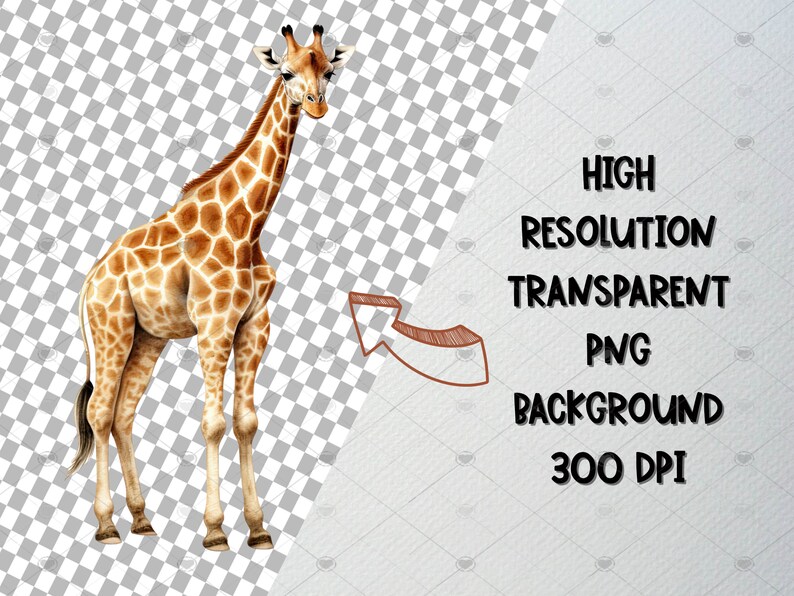 Watercolor Giraffe Clipart Set of 35 PNG Files, Baby Giraffe Clipart ...