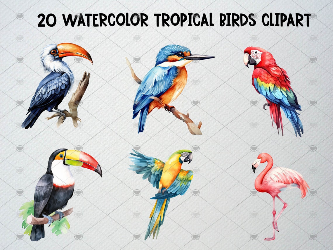 Watercolor Tropical Birds Clipart Set, Parrot Clipart, Flamingo Clipart ...