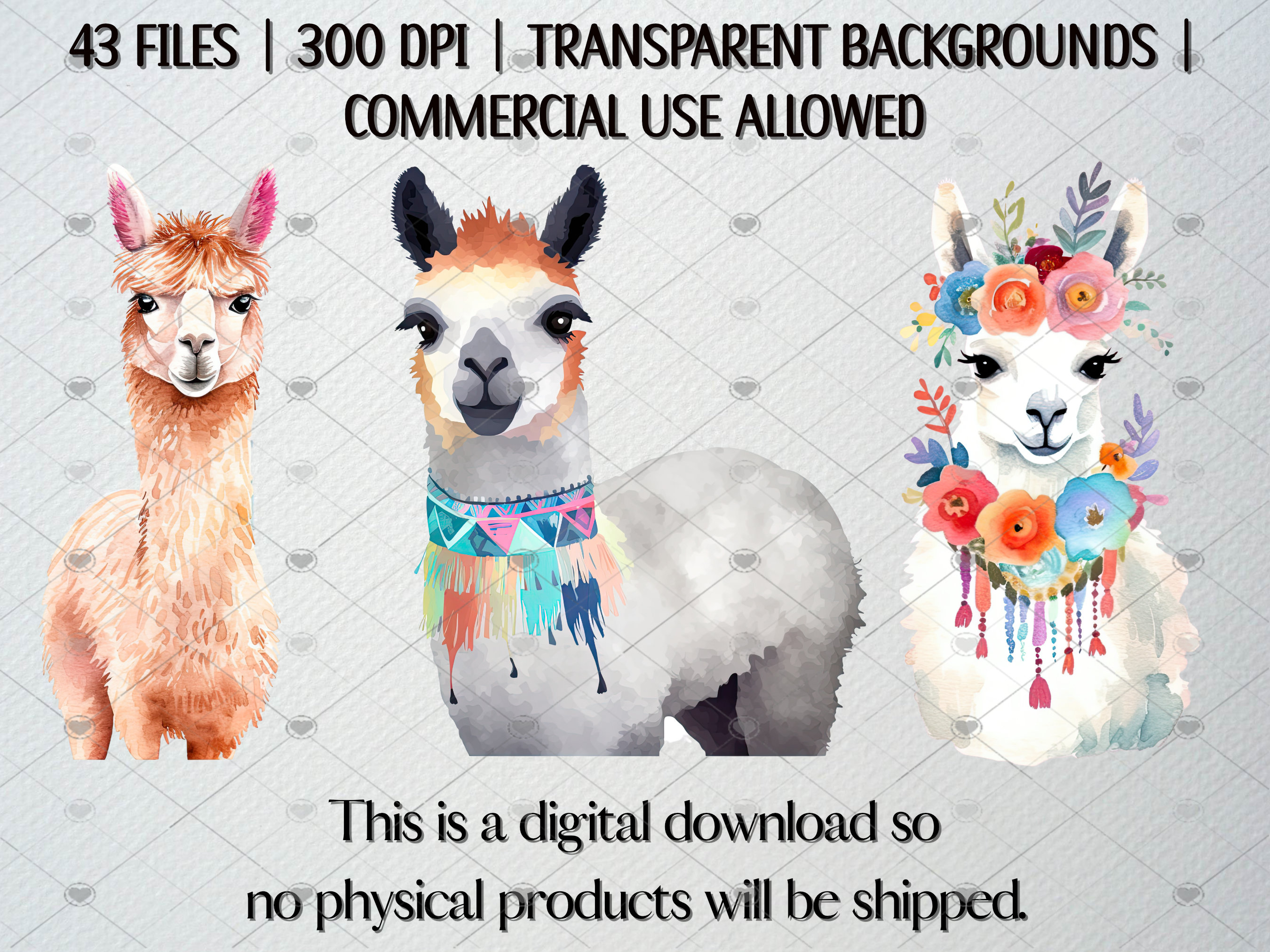 Llama Clipart, Hand Drawn Watercolor Llama Clipart Set of 43 PNG Files ...