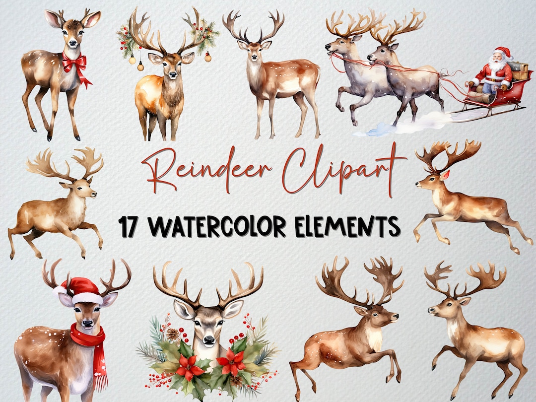 Watercolor Reindeer Clipart Set of 17 PNG Files, Christmas Clipart ...