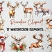 Watercolor Reindeer Clipart Set of 17 PNG Files, Christmas Clipart ...