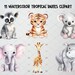 Watercolor Tropical Babies Clipart Set of 11 PNG Files, Baby Animals ...