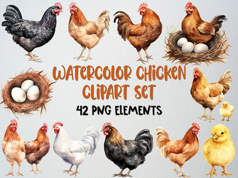 Watercolor Chicken Clipart Set of 42 PNG Files, Rooster Clipart, Hen ...