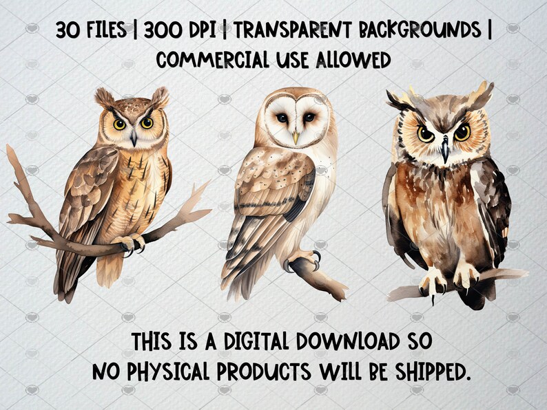 Watercolor Owl Clipart Set of 30 PNG Files, Bird Clipart, Owl ...