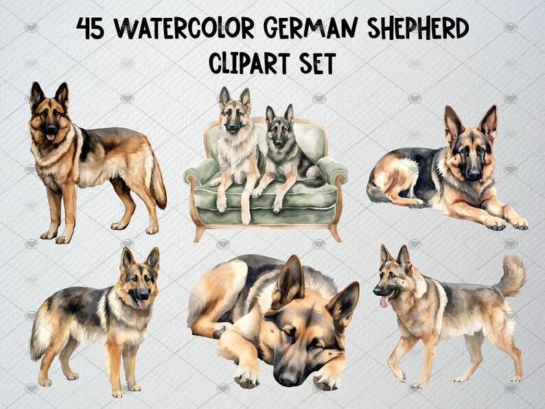 Watercolor German Shepherd Clipart Set of 45 PNG Files, Cute Dog ...