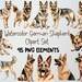 Watercolor German Shepherd Clipart: 45 PNG Illustrations (commercial ...