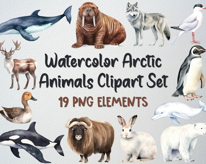 Arctic Animals Clipart Digital Stamps Vector Polar Bear Penguin Seal ...
