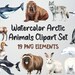 Watercolor Arctic Animals Clipart Set of 19 PNG Files, Winter Clipart ...