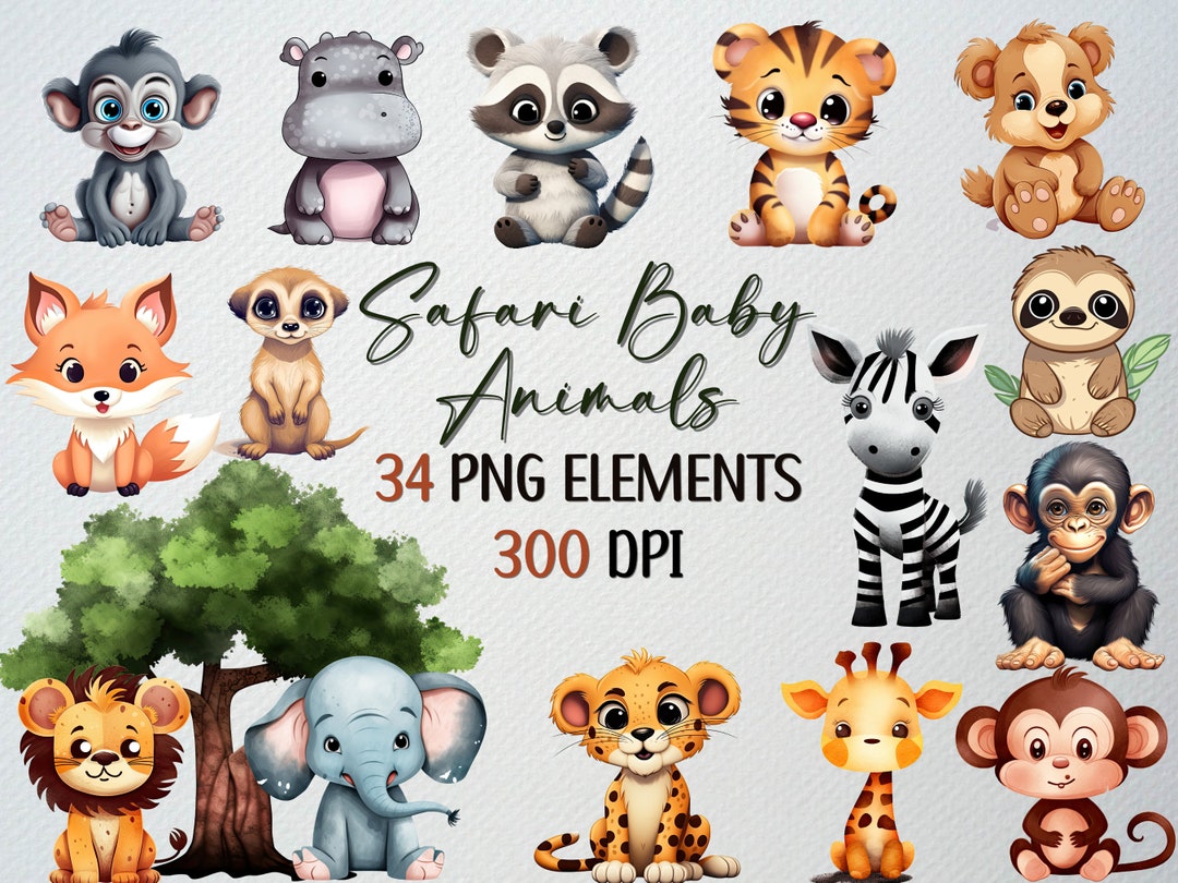 Baby Safari Animals Clipart, Cute Animals PNG Bundle, Jungle Clipart ...
