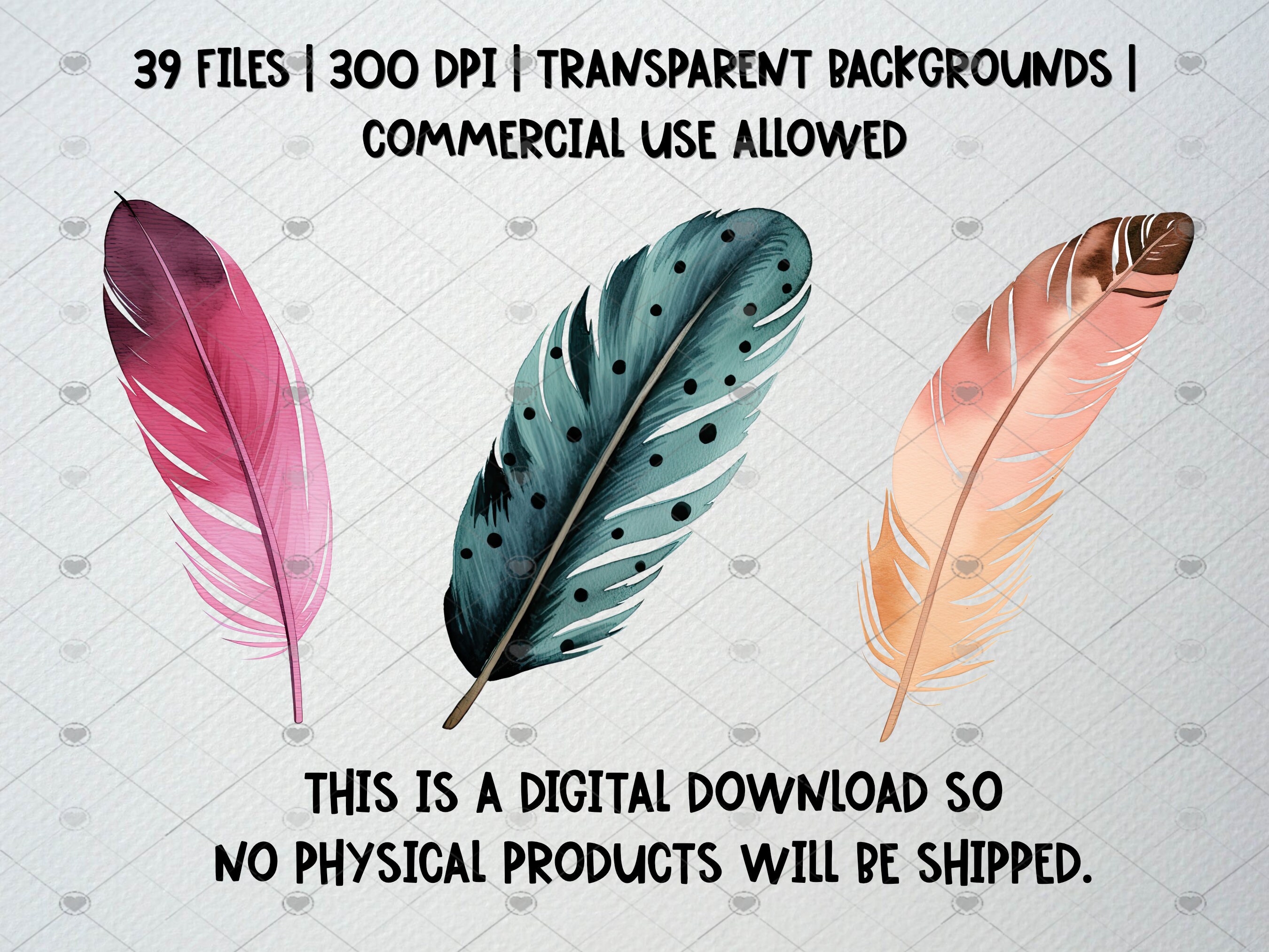 Watercolor Feather Clipart Set of 39 PNG Files, Bird Feather Clipart ...
