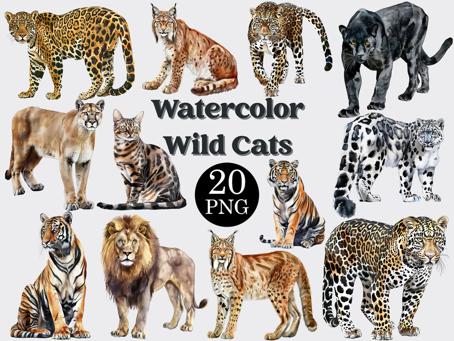 Watercolor Wild Cats Clipart Set of 20 PNG Files, Animal Clipart ...