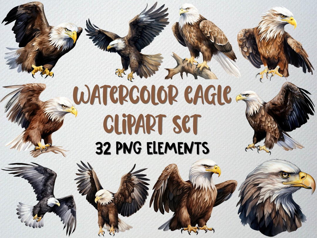 Watercolor Eagle Clipart Set: 32 PNG Bird Illustrations (commercial ...