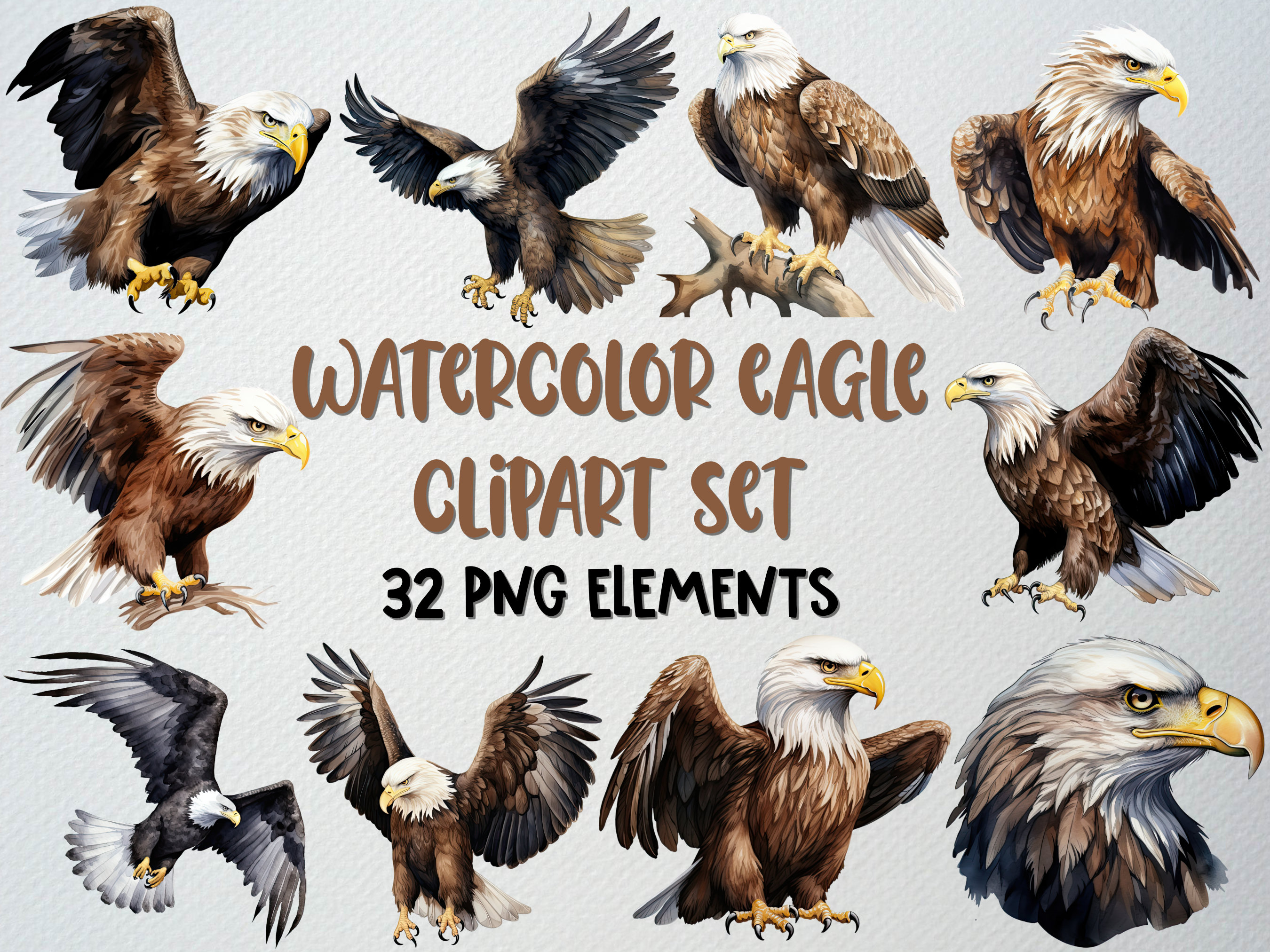 Watercolor Eagle Clipart Set of 32 PNG Files, Bird Clipart, Bald Eagle ...