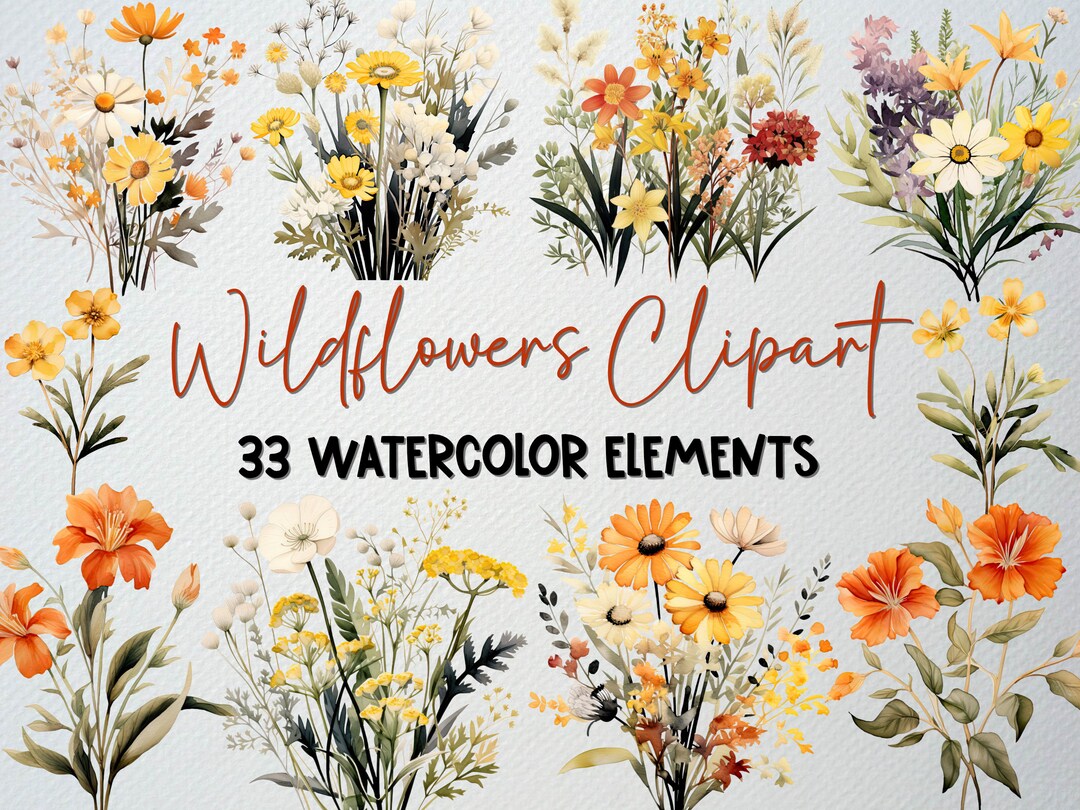 Watercolor Wildflowers Clipart Set of 33 PNG Files, Floral Clipart ...