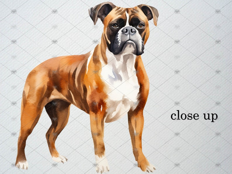 Watercolor Dog Clipart Set of 40 PNG Files, Dog Breed Clipart, Pet ...