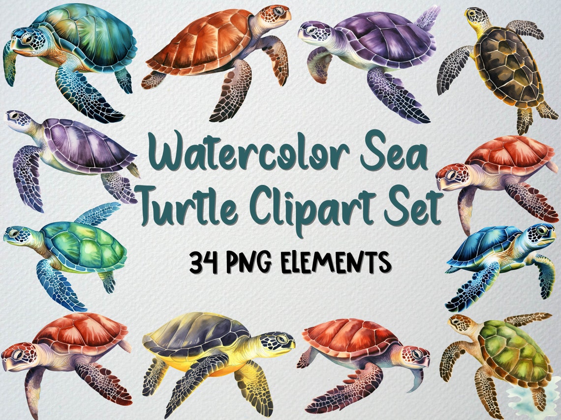 Watercolor Sea Turtle Clipart Set of 34 PNG Files, Underwater Animal ...