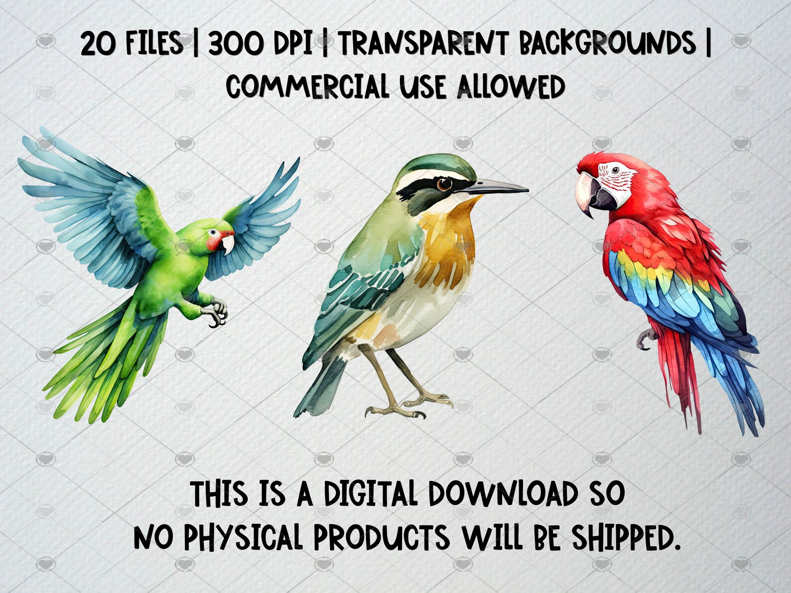 Watercolor Tropical Birds Clipart Set, Parrot Clipart, Flamingo Clipart ...