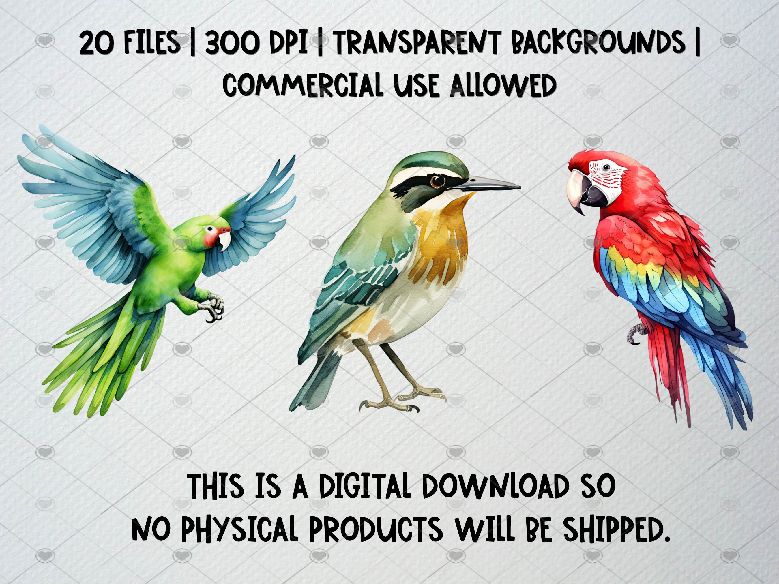 Watercolor Tropical Birds Clipart Set, Parrot Clipart, Flamingo Clipart ...