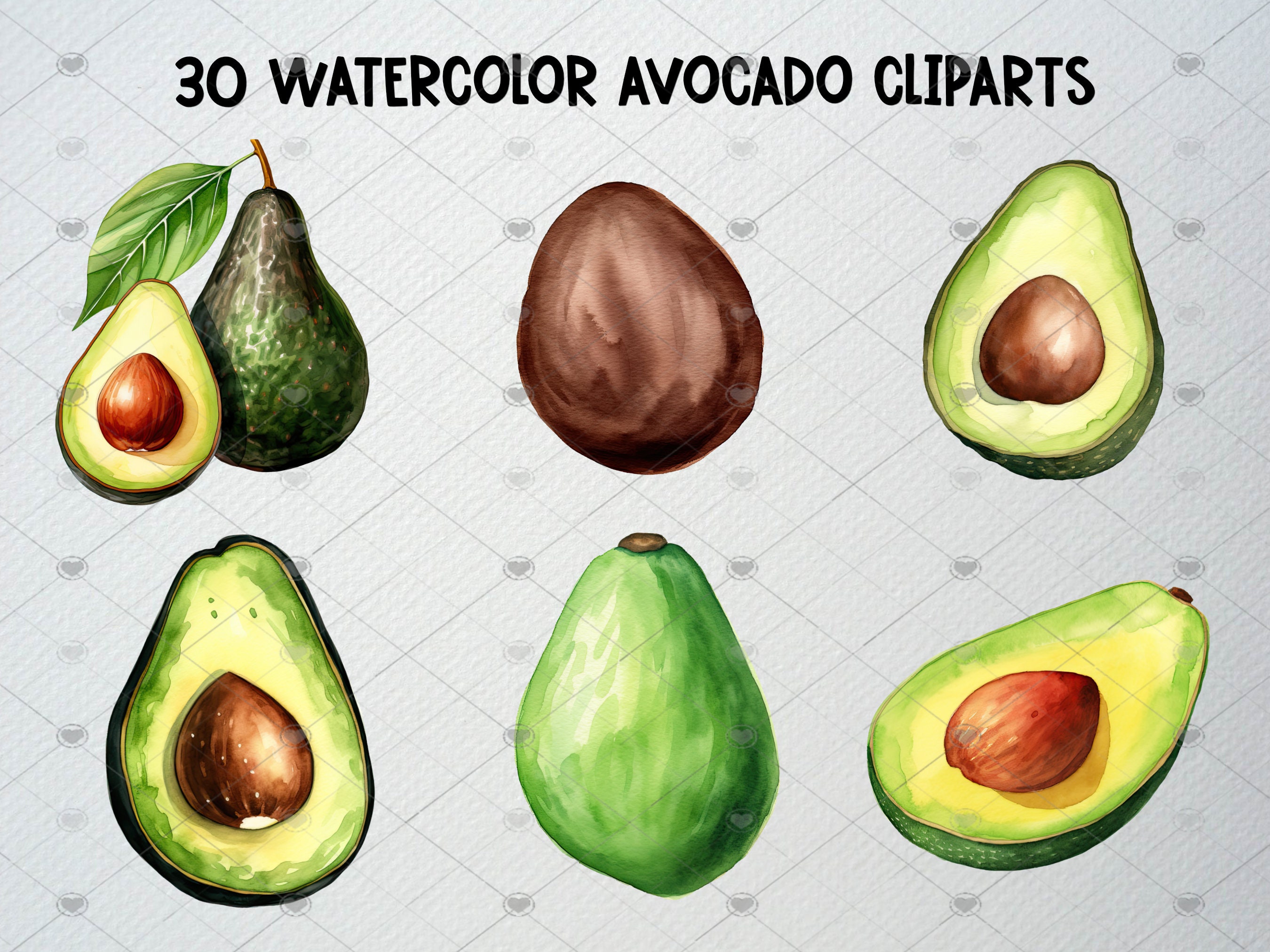 Watercolor Avocado Clipart Set of 30 PNG Files, Tropical Fruit Clipart ...