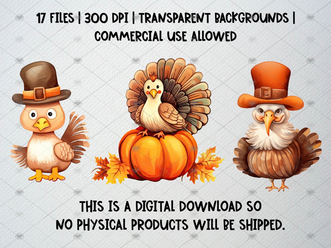 Watercolor Turkey Clipart Set of 17 PNG Files, Thanksgiving Clipart ...