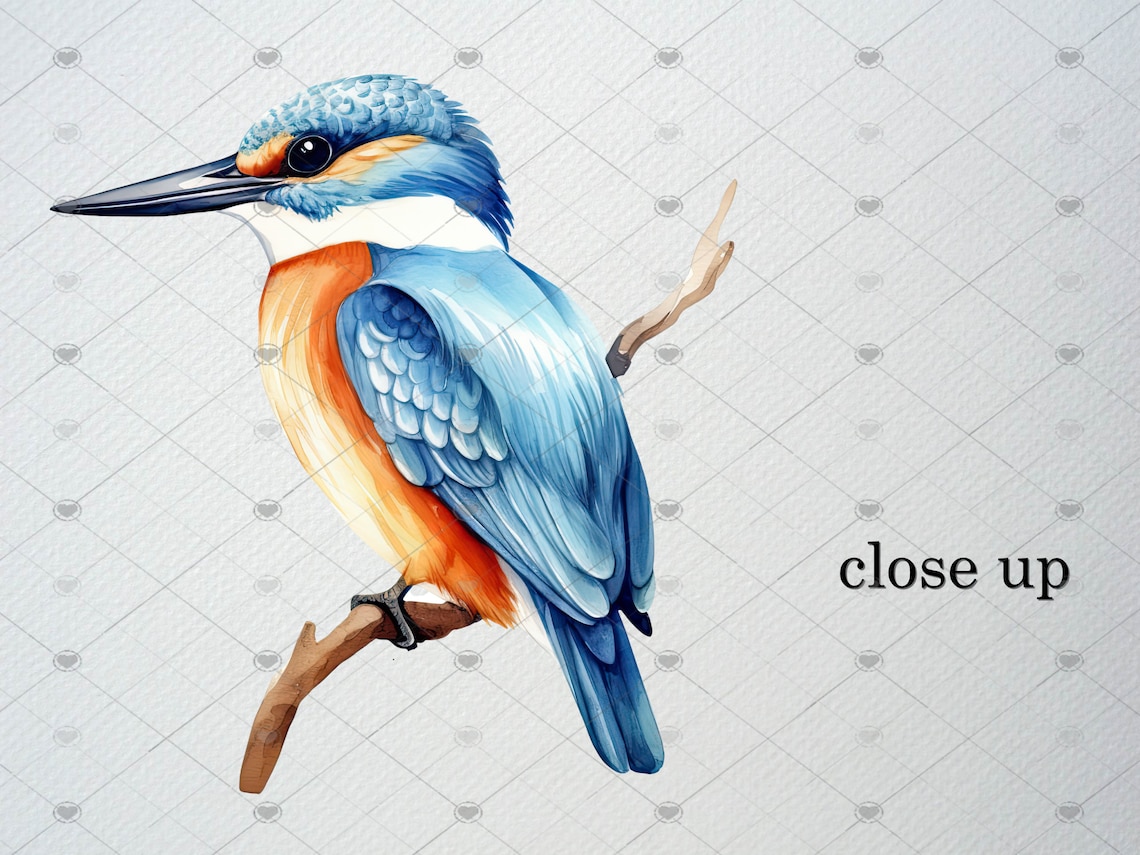 Watercolor Tropical Birds Clipart Set, Parrot Clipart, Flamingo Clipart ...