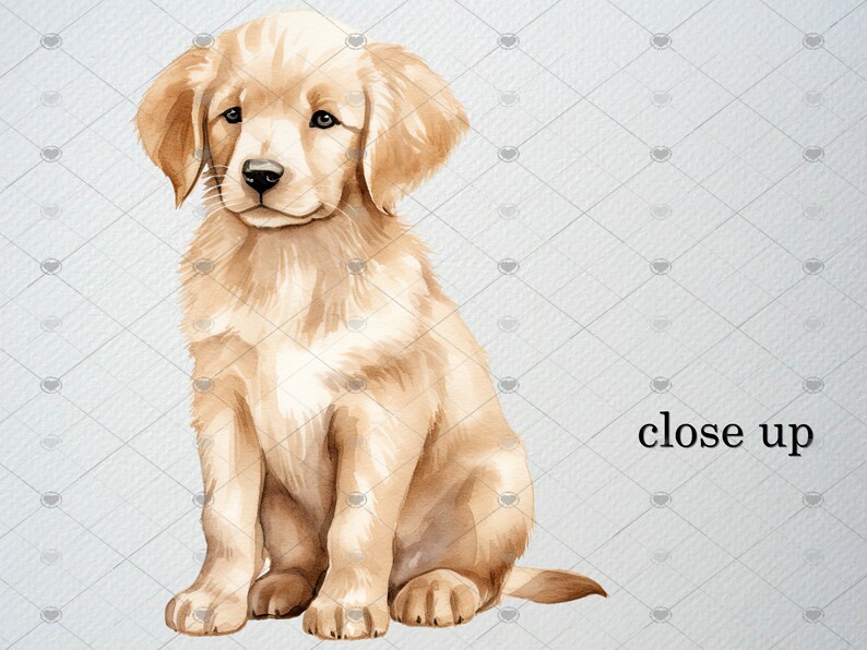 Watercolor Puppies Clipart Set of 19 PNG Files, Cute Puppy Clipart, Pet ...