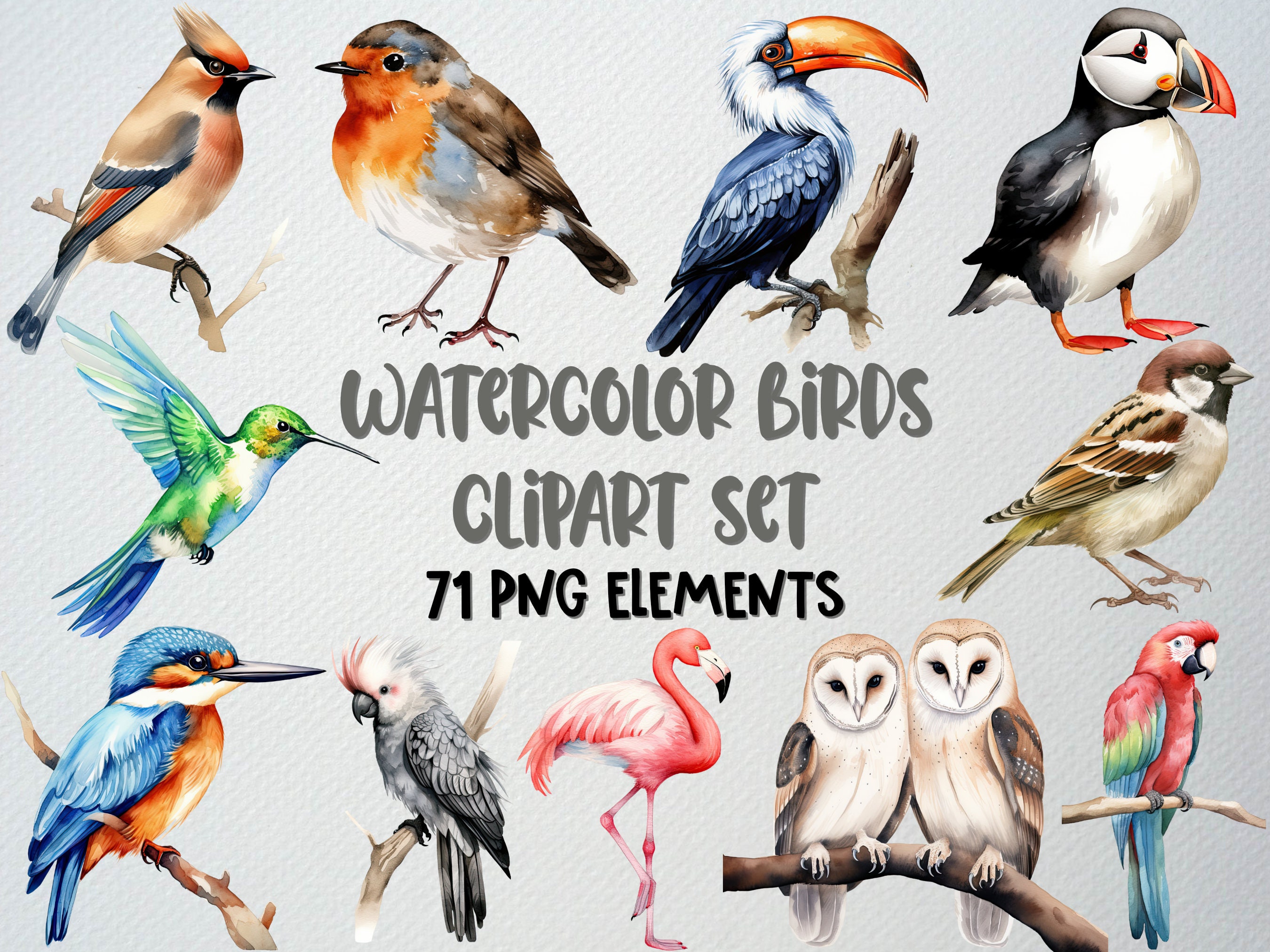 Watercolor Birds Clipart Set of 71 PNG Files, Cute Bird Clipart, Bird ...