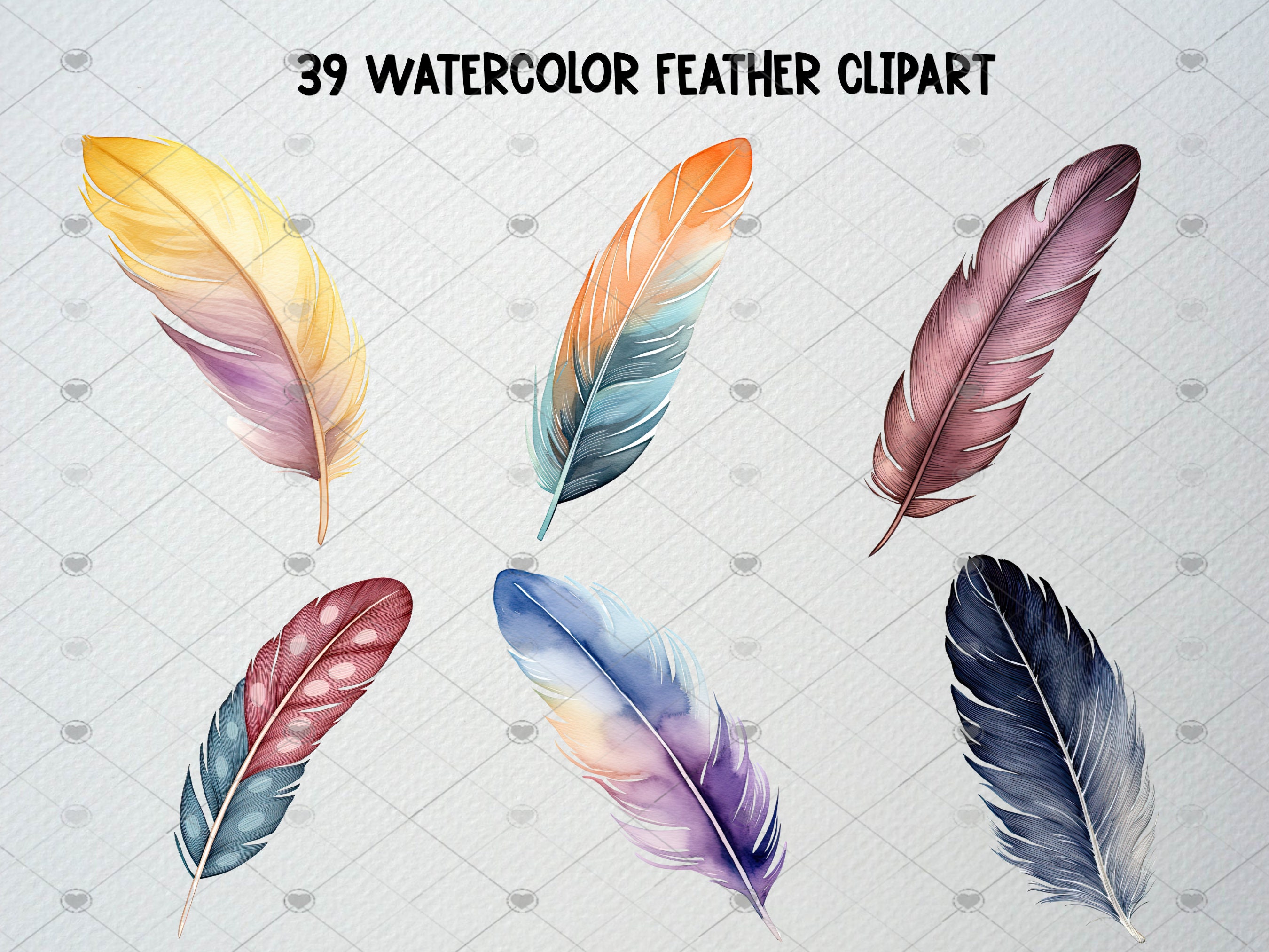 Watercolor Feather Clipart Set of 39 PNG Files, Bird Feather Clipart ...