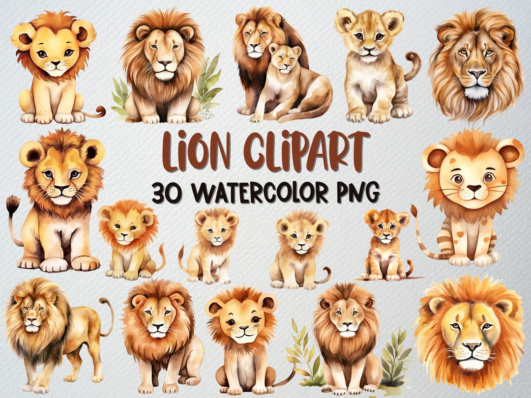 Watercolor Lion Clipart Set of 30 PNG Files, Lion Head Clipart, Baby ...