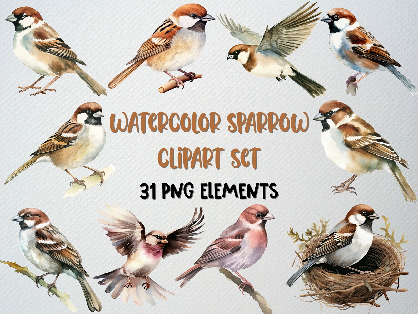Watercolor Sparrow Clipart Set of 31 PNG Files, Garden Birds Clipart ...