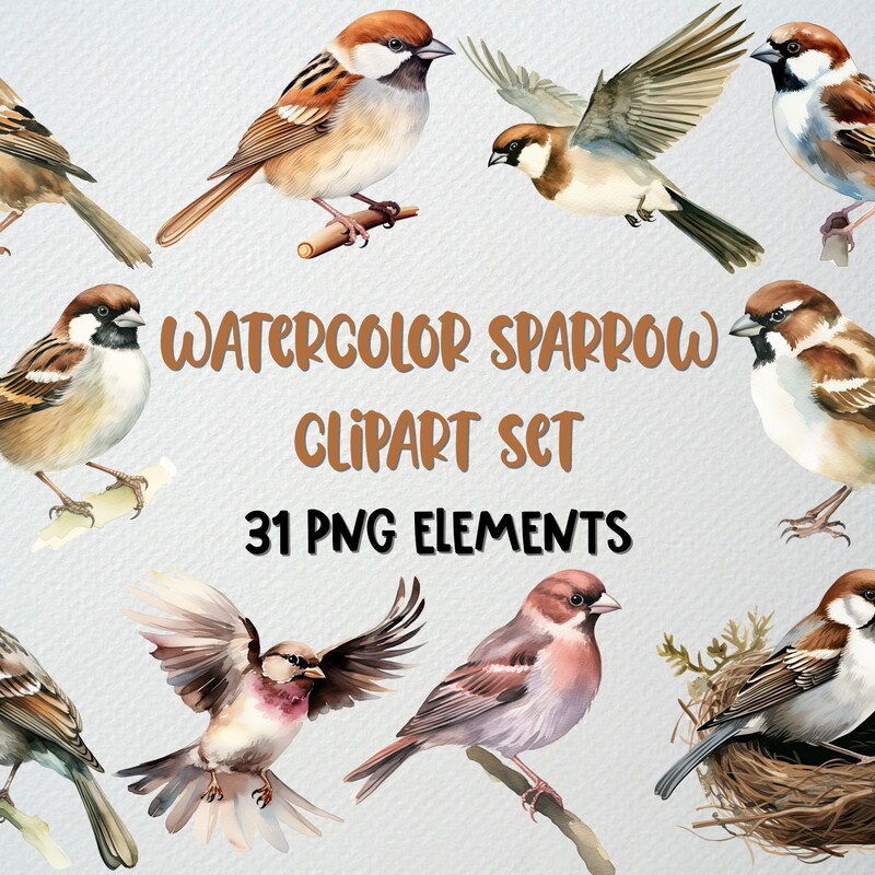 Sparrow Watercolor - Etsy