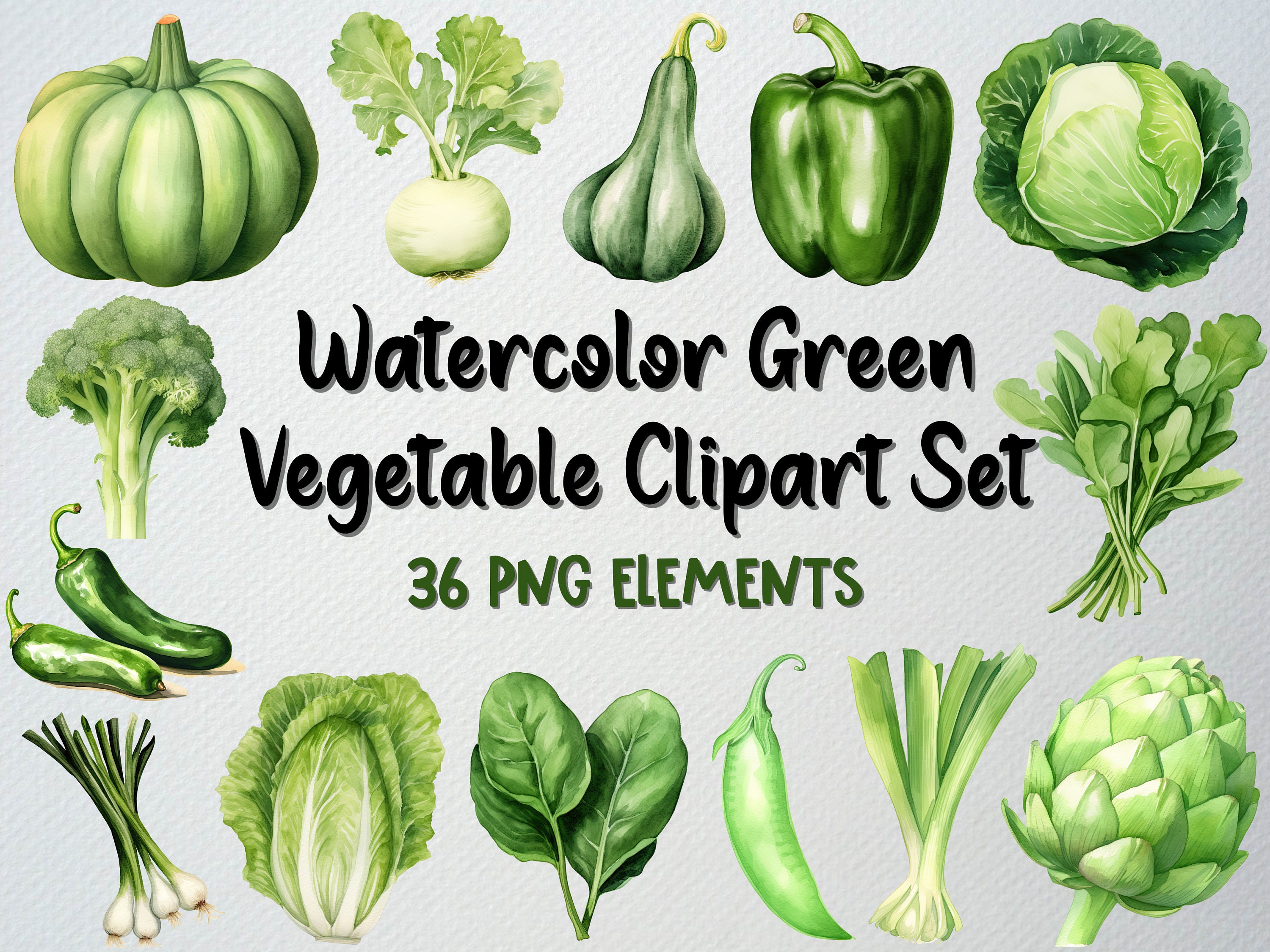 Watercolor Green Vegetable Clipart of 36 PNG Files, Veggie Clipart ...
