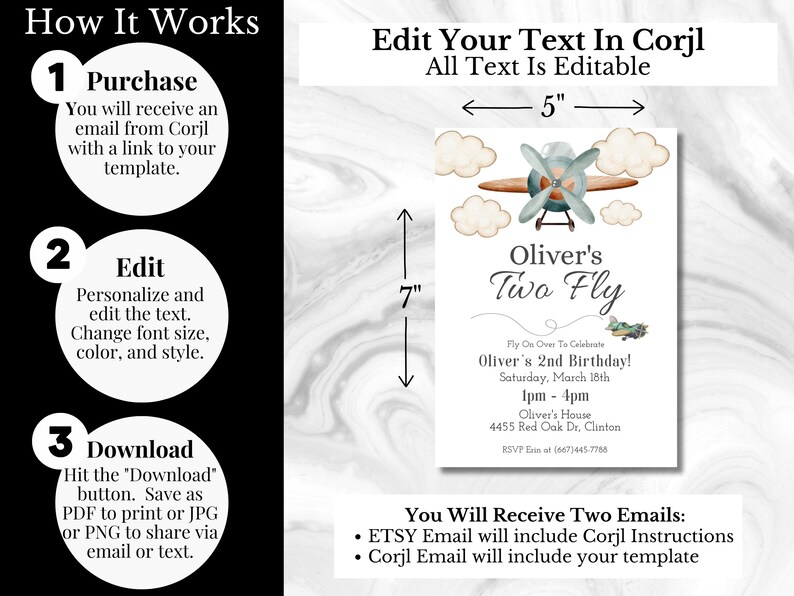 Two Fly Birthday Invitation, Second Birthday Airplane Birthday ...