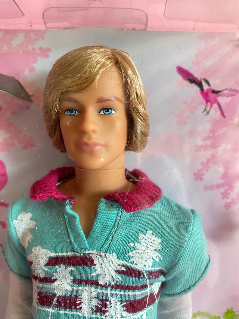 Camping KEN Camping Family Ken P6714 by Mattel NIB Barbie Collection ...