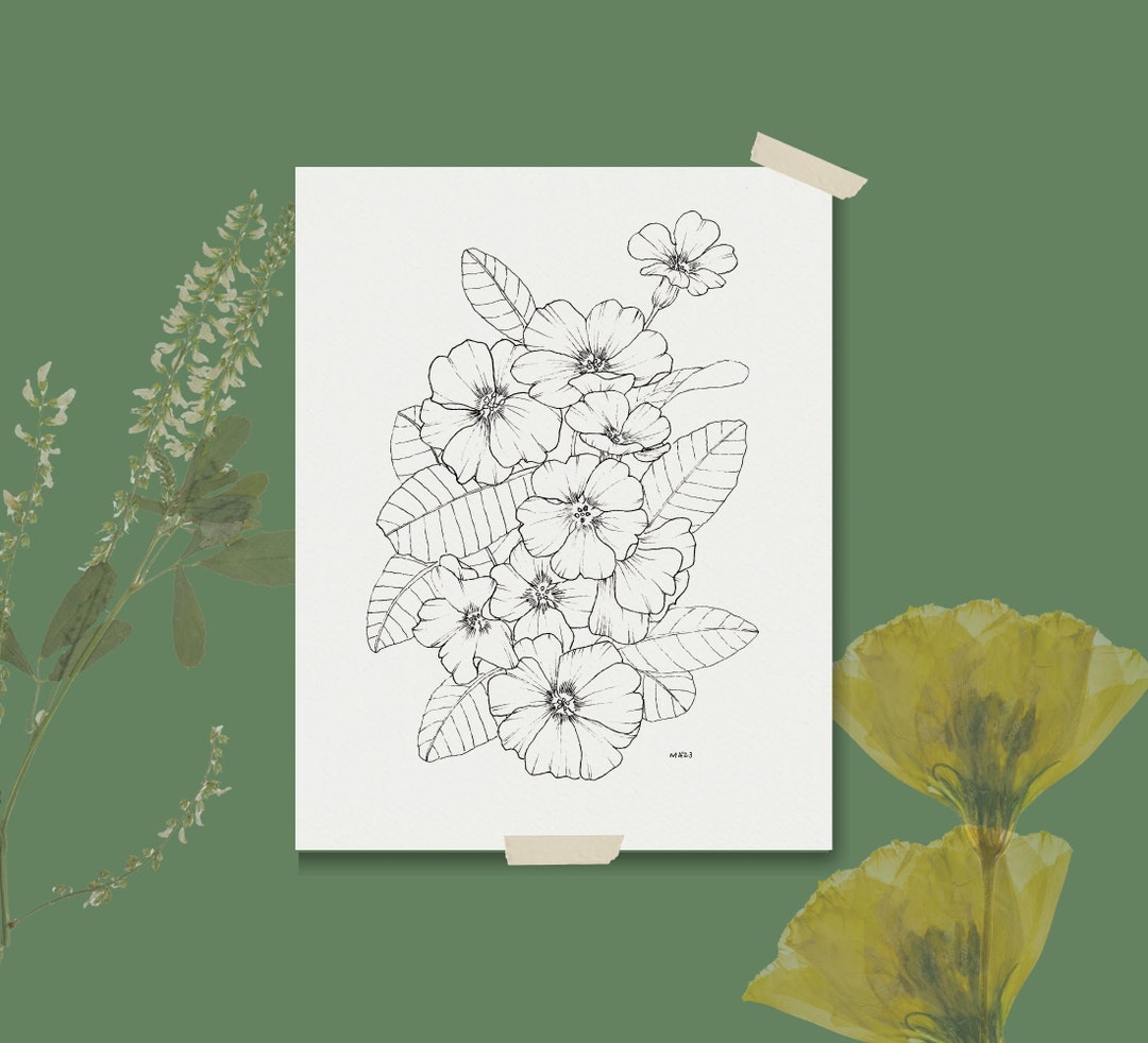 Instant Download Floral, Black and White Primroses, Printable Primroses ...