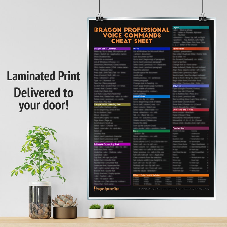 Dragon Commands Cheat Sheet Laminated Poster Essential Dragon - Etsy
