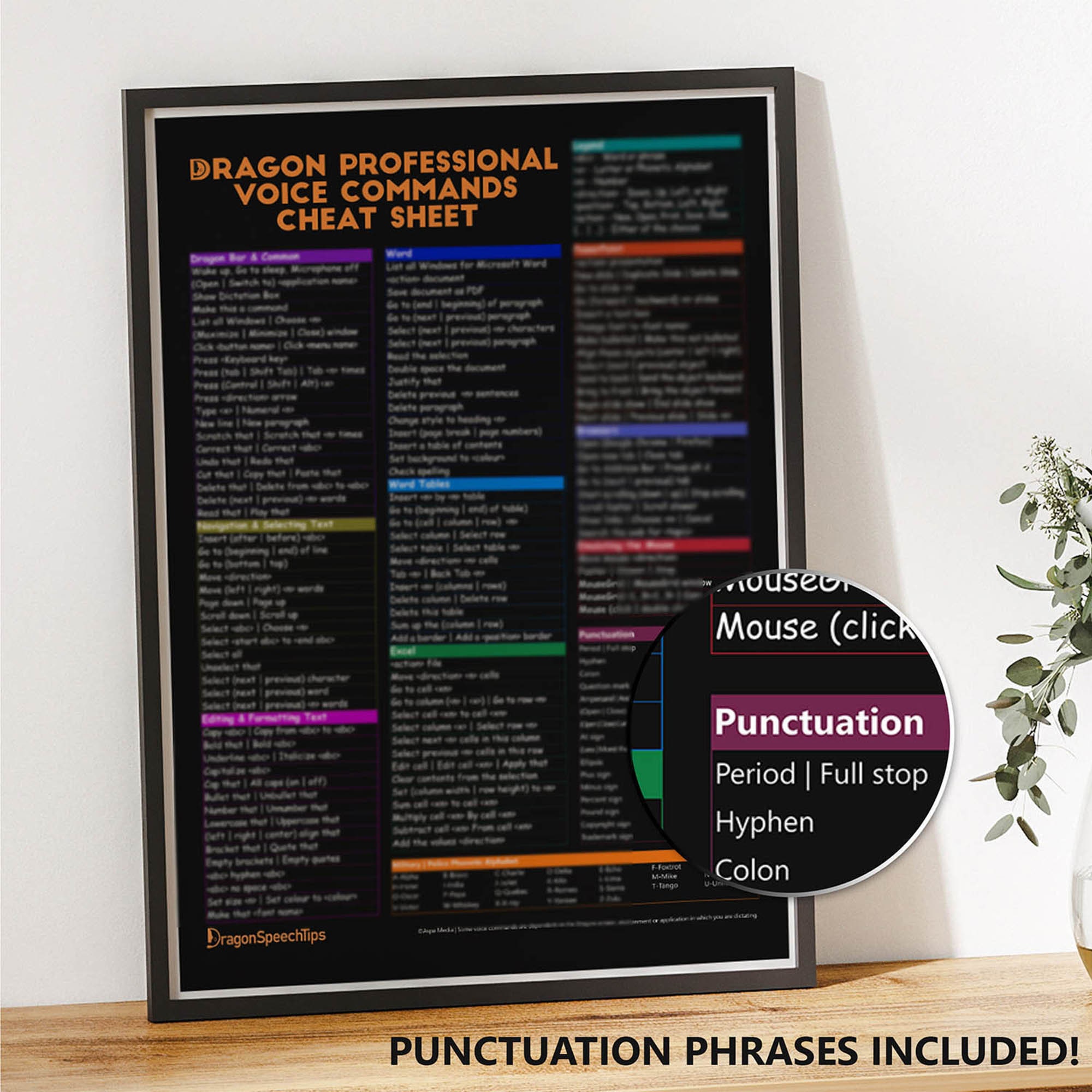 Dark Mode, Dyslexia Friendly Font, Dragon Professional Individual ...