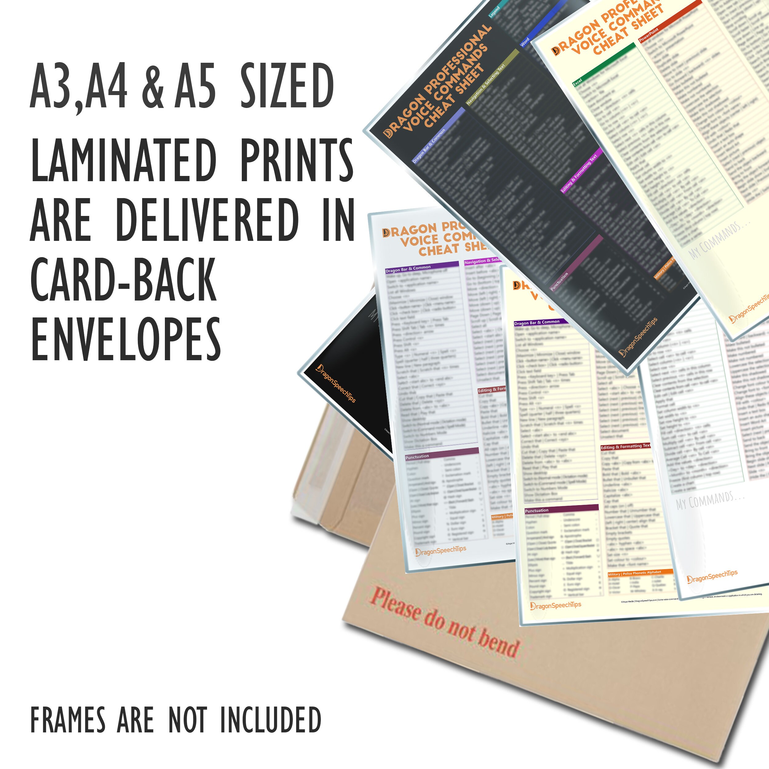 Dragon Professional Commands Cheat Sheet Two-sided Laminated Poster ...