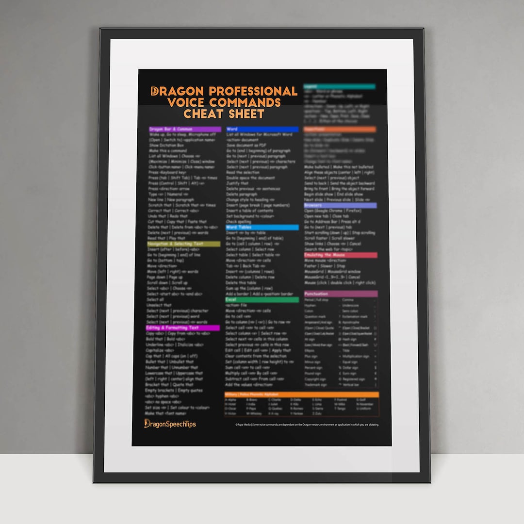 Dark Mode, Dyslexia Friendly Font, Dragon Professional Individual ...