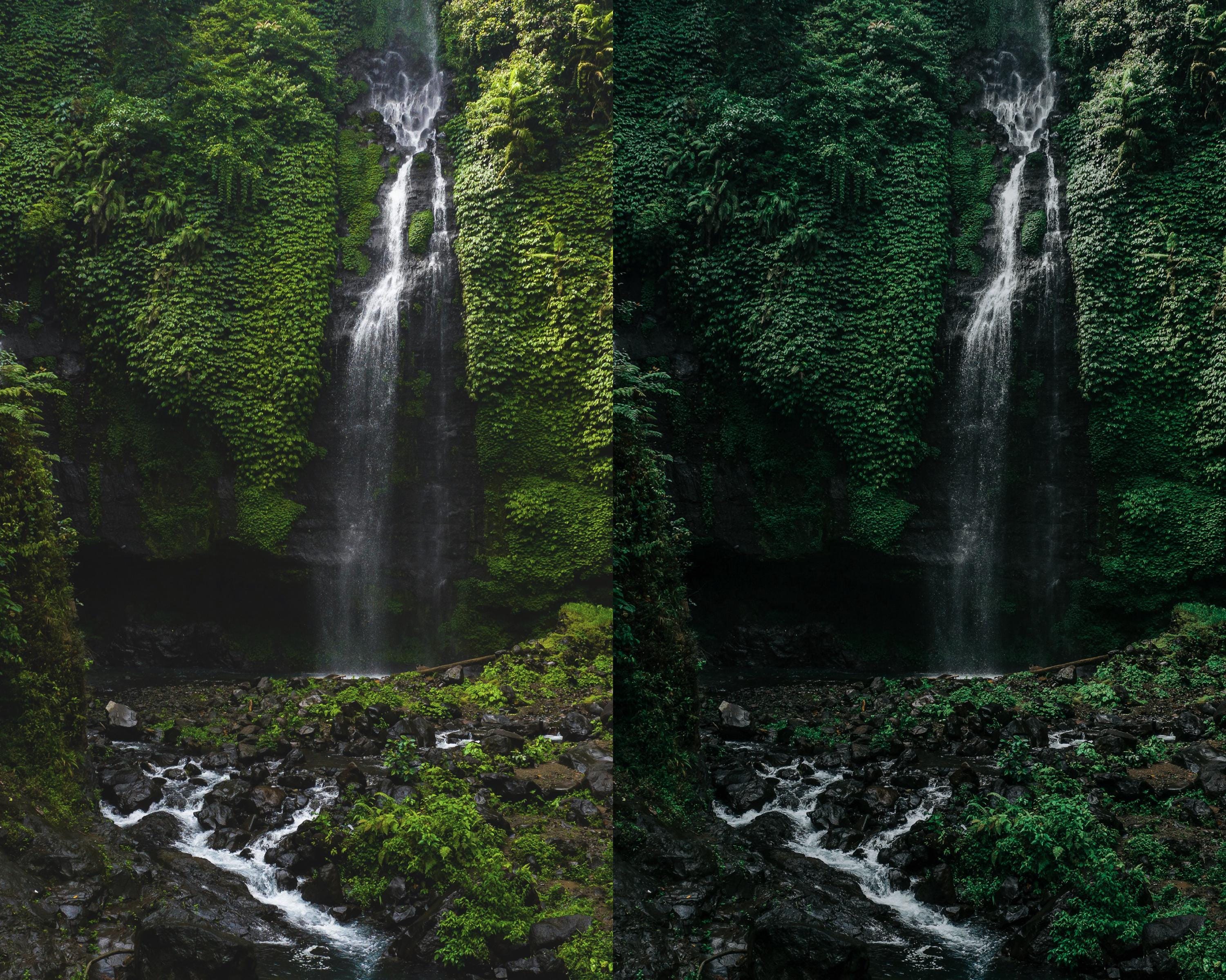 Dark Green Lightroom Presets, Moody Filters for Dark Woods, Photo ...