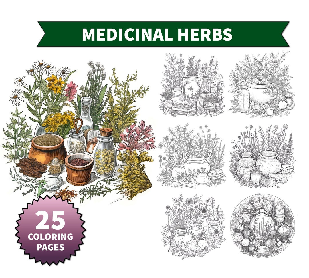 25 Medicinal Herbs Coloring Book for Wicca Kitchen, Coloring Page for ...
